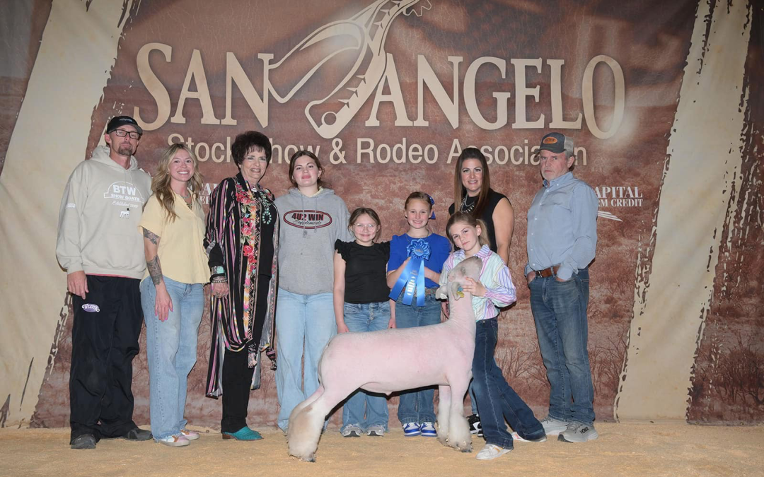 1st Place Southdown - 2025 San Angelo Livestock Show - NxtGen Online Sales